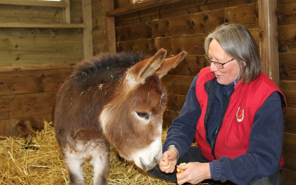 About Us | Small Breeds Farm Kington Herefordshire